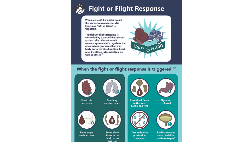 View Website https://www.thepartnershipineducation.com/assets/fight-or ...