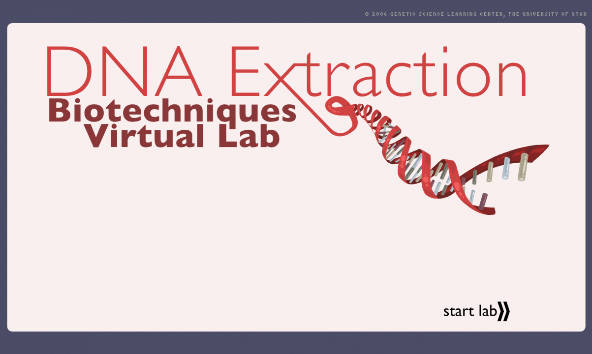 DNA Extraction Virtual lab | Science Education Partnership Award